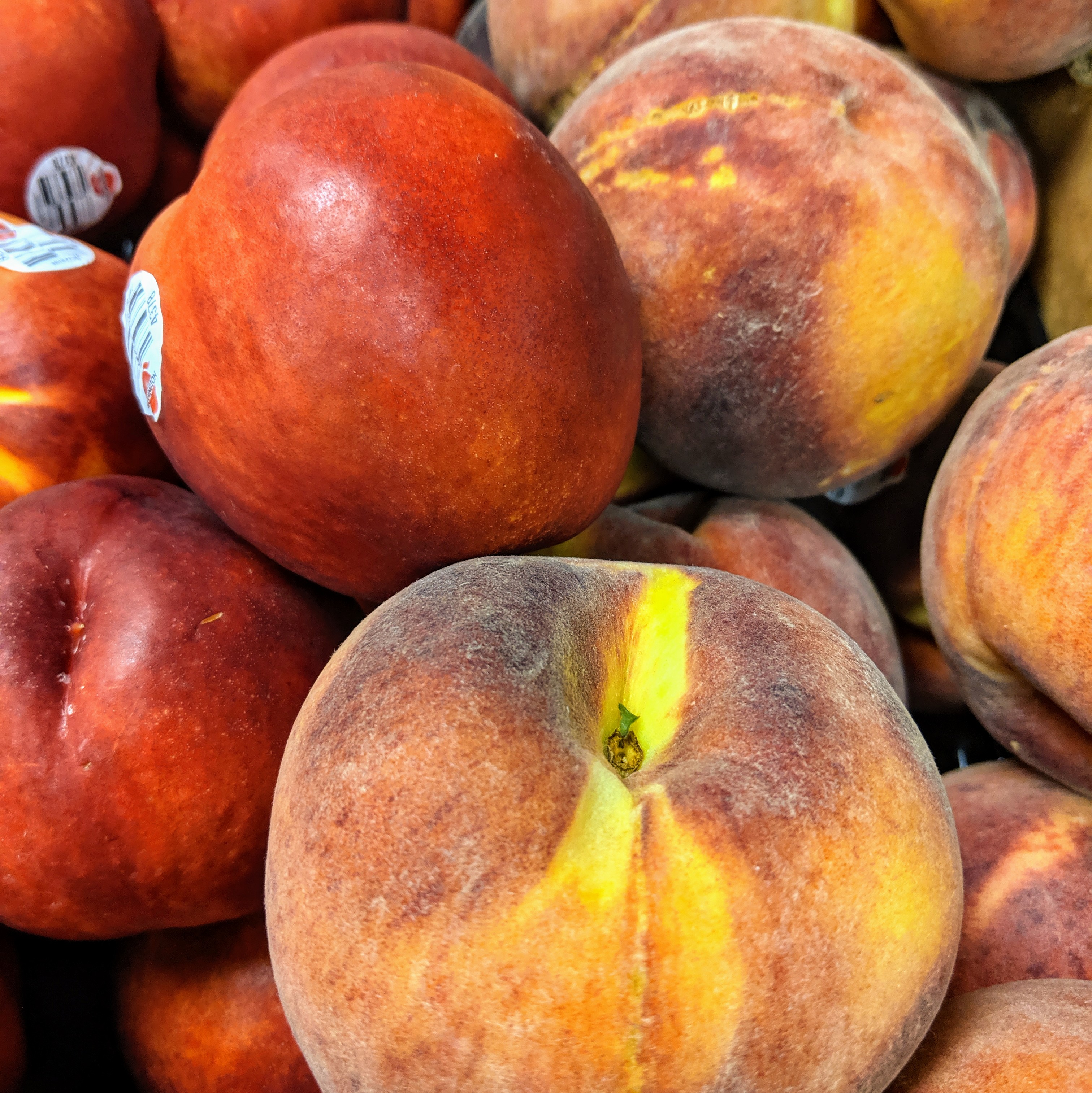 Spud’s Produce Market – Serving Olympia and Tumwater with fresh produce ...