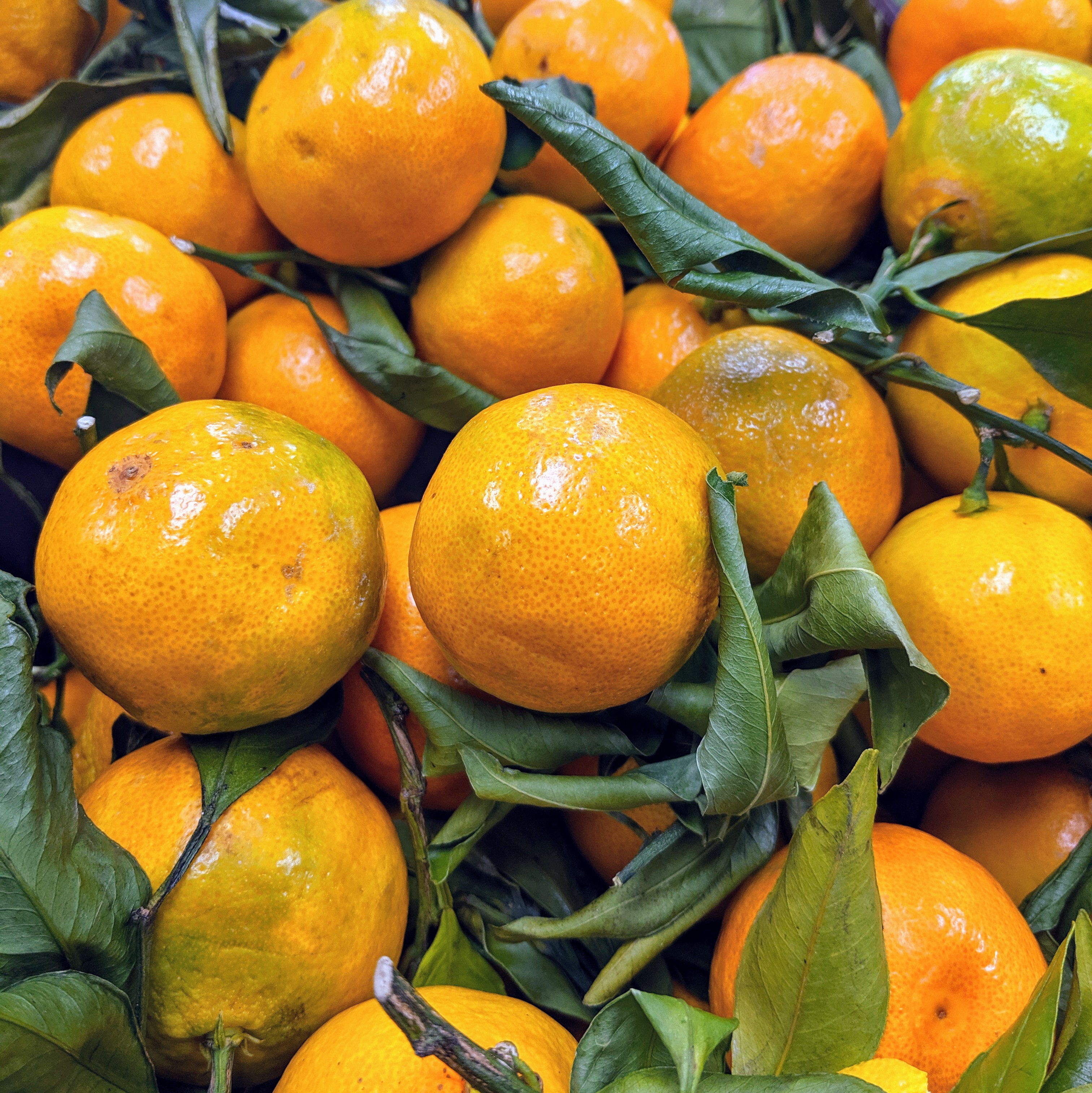 Spud’s Produce Market – Serving Olympia and Tumwater with fresh produce ...